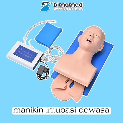 Jual Phantom Manikin Intubasi Dewasa Trachea - Intubation Tracheal ...