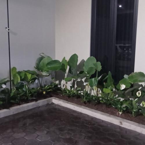 Jual pembuatan taman all in sistem RAB rincian - Jakarta Timur ...