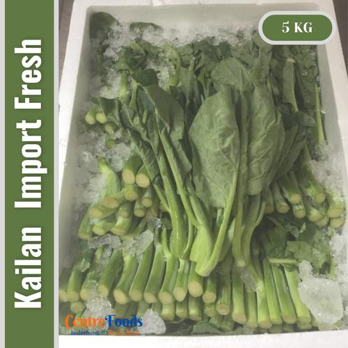 Jual Sayur Kailan Import - Gai Lan Import Fresh | 5 Kg [ Harga Per DUS ...