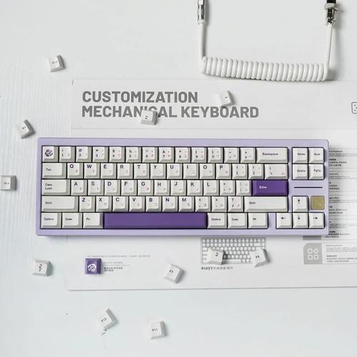 Jual GMK Keycaps Roze Purple Rose Theme 146 Key PBT keycap Dye ...