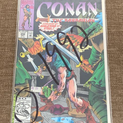Jual MARVEL COMICS: CONAN THE BARBARIAN #256 1992 by ALFREDO ALCALA ...
