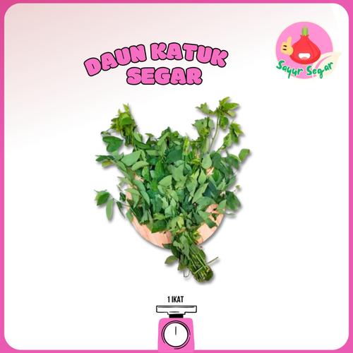 Jual Sayur Segar - Daun Katuk Segar/Katuk Leaves 1 Ikat - Kota ...