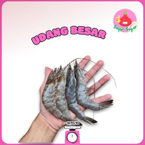 Jual Udang Super Besar Segar isi-+50 ekor/kg - Kota Tangerang ...