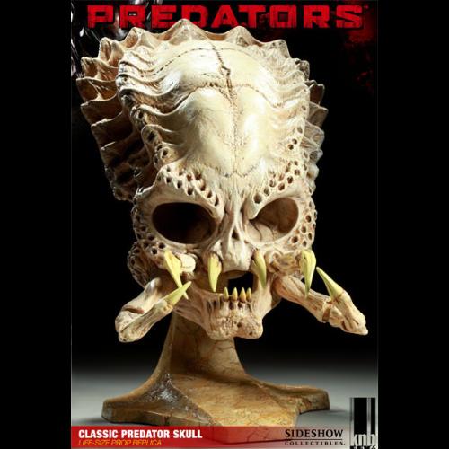 Jual Predator Skull Replica Props - Sideshow Life size Statue Figure ...