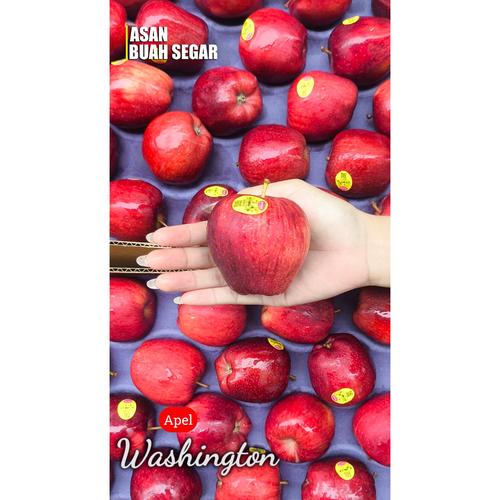 Jual buah apel merah amerika Australia red delicious Washington ...