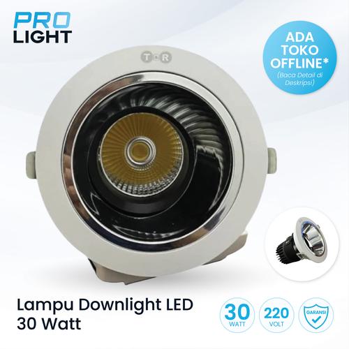 Jual Lampu Downlight LED 30 Watt Plafon Tinggi - Donwlight Lamp Lampu ...