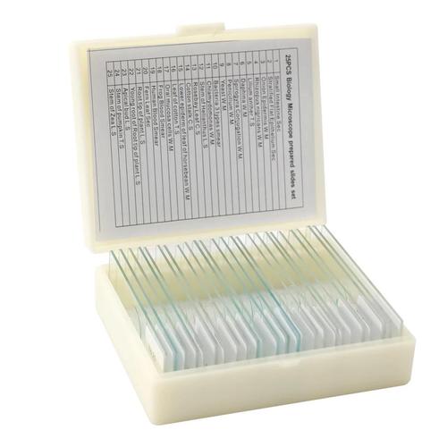 Jual KKmoon 25pcs/set Prepared Microscope Slides Animal Plants Insects ...