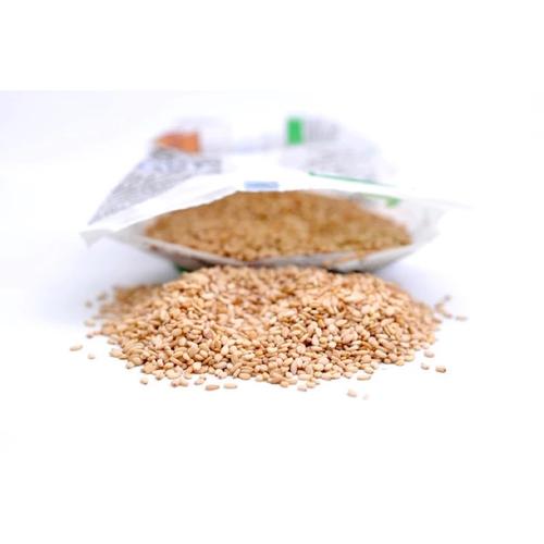 Jual TERMURAH!!BENIH RUMPUT STENO 1 kilo - PREMIUM Benih Rumput Jepang ...