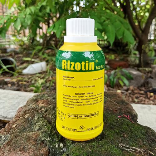 Jual Insektisida Rizotin 100 EC 250ml Mengendalikan Hama Perusak Daun ...