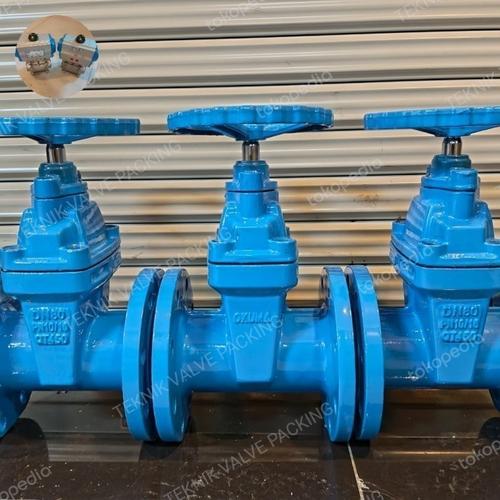 Jual Gate valve Resilient EPDM flange PN16 ukuran 10" inch - Jakarta ...