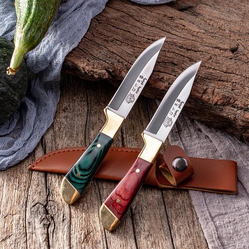 Jual Pisau Mini Super Tajam Free Sarung Pisau Serbaguna Pemotong Daging ...