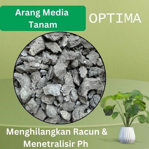 Promo Optima Arang Kayu Media Tanam Tanaman Cacah Kecil Penetralisir ...