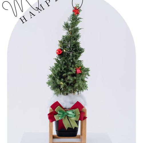 Jual Merry Hampers Christmas (Pohon cemara, pot kayu) - Kota Bandung ...