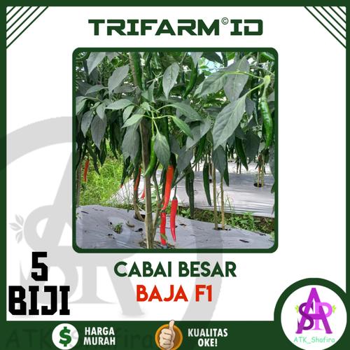 Jual 5 Biji Benih Cabai Besar Baja F1 Kemasan Repack Ziplock - Kota Banjarbaru - TRIFARM.ID ...