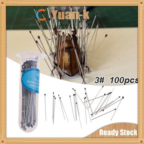 Jual 100pcs Insect Pins Insect Specimen Needle Length 40mm Stainless ...