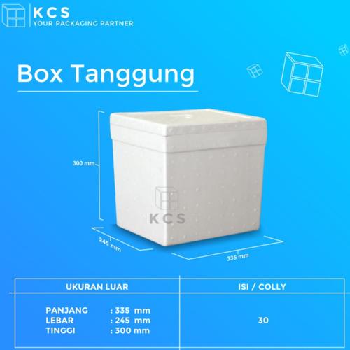 Jual GABUS STEROFOAM STYROFOAM Tanggung 33x24x30 Wadah Air Ikan Cooler ...