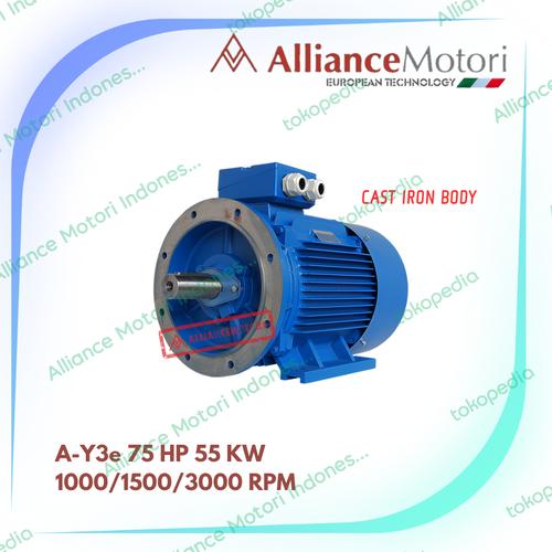 Jual Alliance Motori Elektro Motor / Dinamo A-Y3e 75 HP 55 KW B35 ...