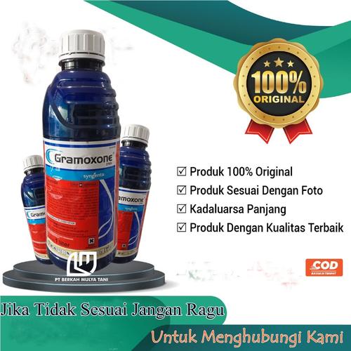 Jual Herbisida Racun Rumput Gramoxone 1 Liter Gramoxon 500ml Gramason ...