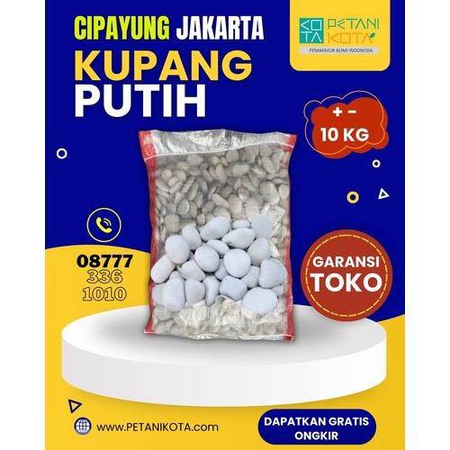 Jual Batu Coral Kupang PUTIH Sedang Karungan 10 Kg Harga Koral Krikil ...