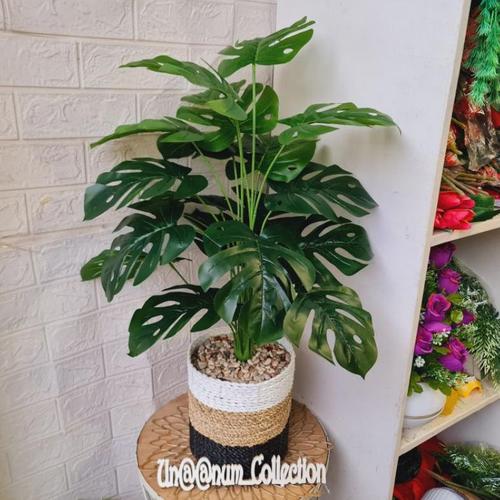 Jual MONSTERA POT ANYAM ROTAN ARTIFICIAL - Delima - Jakarta Timur ...