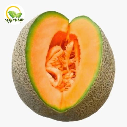 Jual Buah Melon Kuning 1 kg Lebih Pekanbaru - Kota Pekanbaru ...