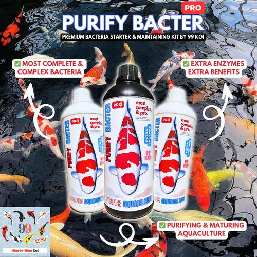 Jual PURIFY BACTER PRO 1 Liter by 99 Koi Bakteri Starter Extra Enzim ...