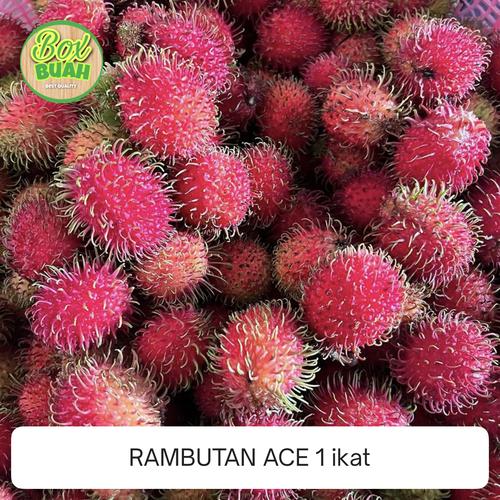 Jual Buah Rambutan Ace parakan fresh manis 1 ikat - Jakarta Barat ...
