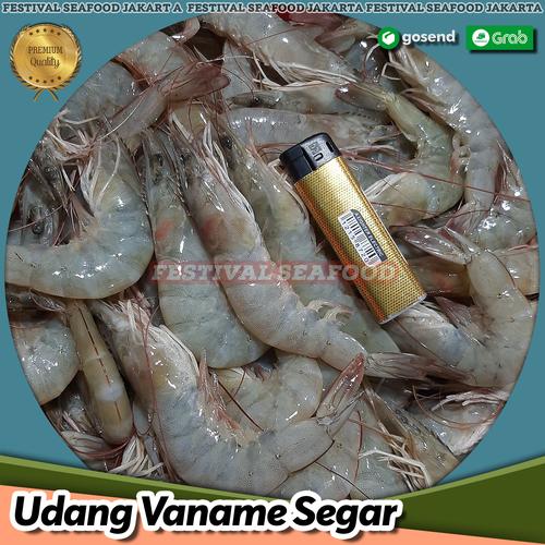 Jual vaname udang fresh | PRAKTIS Udang Vannamei Segar | Udang tambak ...