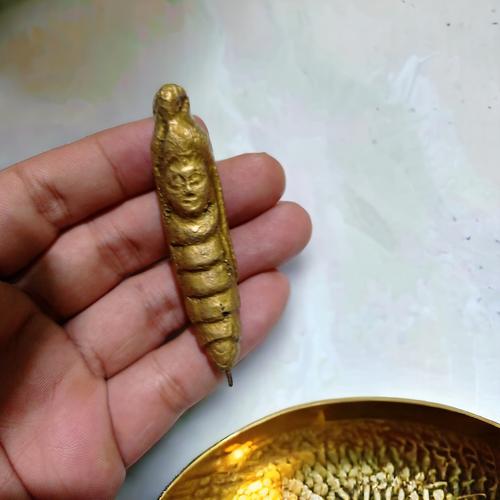 Jual wesi kuning ratu kepompong ratu besi kuning asli alam orginal ...