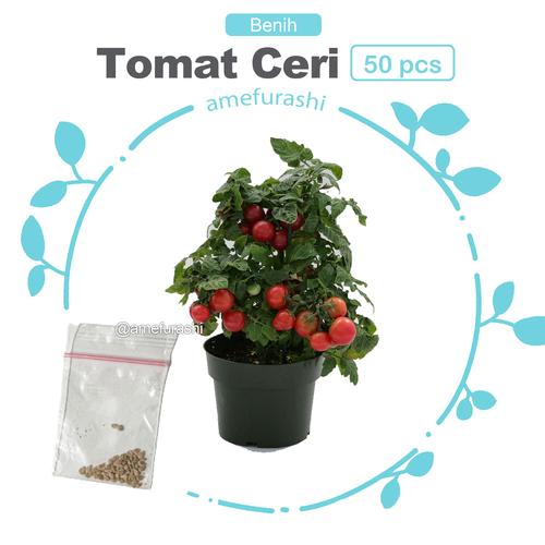 Jual benih / seeds / bibit tomat ceri small red cherry tomato - tomat ...