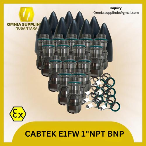 Jual Cable Gland CABTEK E1FW 1"NPT Brass Nikle Plated (BNP) - Jakarta ...