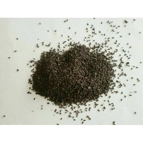 Jual 300 G GR GRAM CHE QIAN ZI SEMEN PLANTAGINIS PLANTAIN SEED SEEDS ...