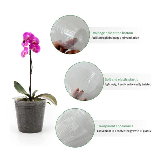 Jual Soft Pot Pembibitan Pot Anggrek Bening dengan Lubang Pot Bening ...
