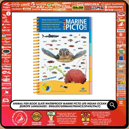Jual Marine Picto Life Fish Book Slate Indian Ocean & Red Sea ...