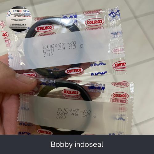 Jual OIL SEAL USH 40 x 50 x 6 JAPAN JEPANG . USH 40 50 6 - Jakarta ...