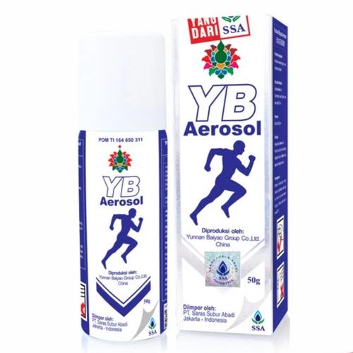 Jual YB AEROSOL 云南白药气雾剂 YUNNAN BAIYAO SEMPROT KESELEO BENGKAK YUN NAN ...