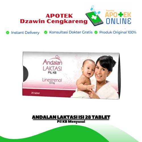 Jual ANDALAN LAKTASI PIL KB 1 STRIP ISI 28 TABLET / PIL KB MENYUSUI ...