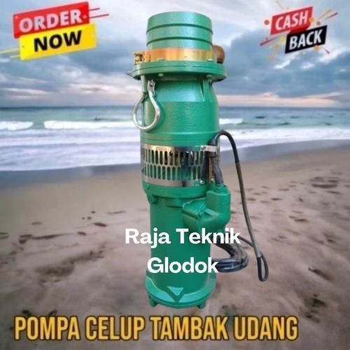 Jual Pompa Celup Tambak Udang 6 Inch 5.5Kw 7,5Hp 380V Sumbersible Pump ...