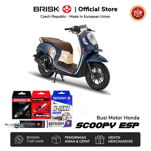 Jual Busi Motor BRISK untuk Honda Scoopy ESP - AR10S-9 - Jakarta Utara ...