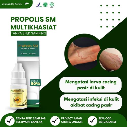Jual Obat Cacing Pasir Kulit - PROPOLIS SM BRAZIL ORIGINAL - Jakarta ...