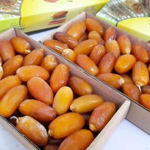 Jual Ready Kurma Muda Ruthob 1kg Kurma Ruthob Libya Fresh Frozen Kurma ...