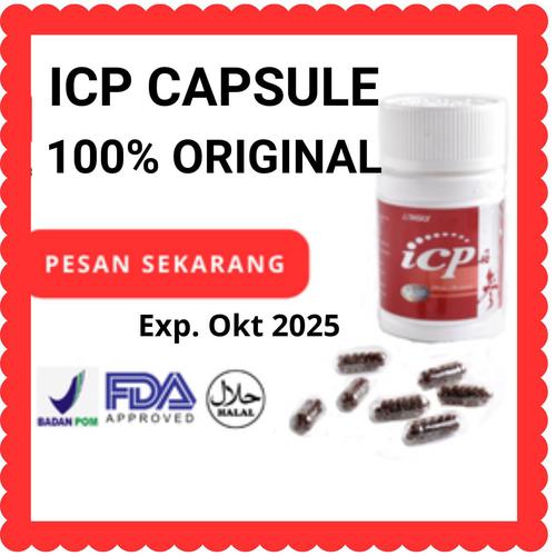 Jual ICP CAPSULE Herbal Jantung Paling Ampuh 30 kapsul - Kota Surabaya ...