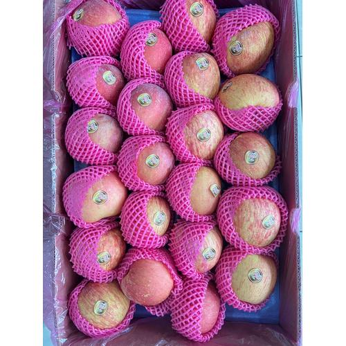 Jual Apel Fuji RRC 17kg - Jakarta Utara - FG Freshmart | Tokopedia