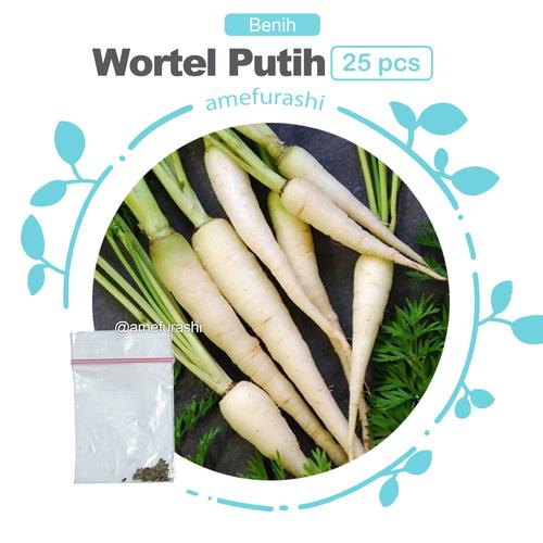 Jual Bibit / Benih / Seeds Sayur Wortel Putih Carrot Snow White ...