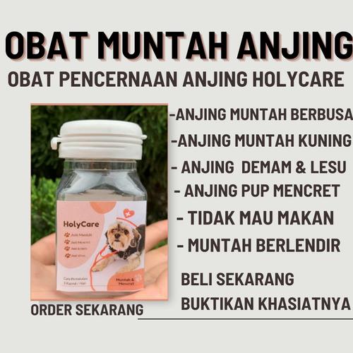 Promo Obat Muntah Diare Mencret Anjing Paling Ampuh HolyCare - Kab ...