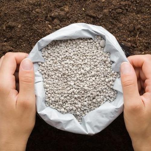 Jual PUPUK FERTIPHOS / PUPUK TSP / PUPUK TRIPLE SUPER FOSFAT - Kota ...