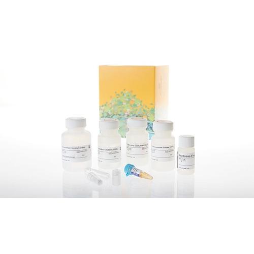 Jual Wizard(R) Plus SV Minipreps DNA Purif. System for plasmid DNA, 50 ...