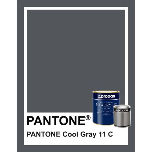 Jual CAT PROPAN PU ACRYLIC - PANTONE COOL GRAY 11 C - GLOSS, 1 LITER ...