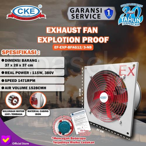 Jual Exhaust Fan Explosion Proof 12 Inch 380V Industrial Fan Heavy Duty ...