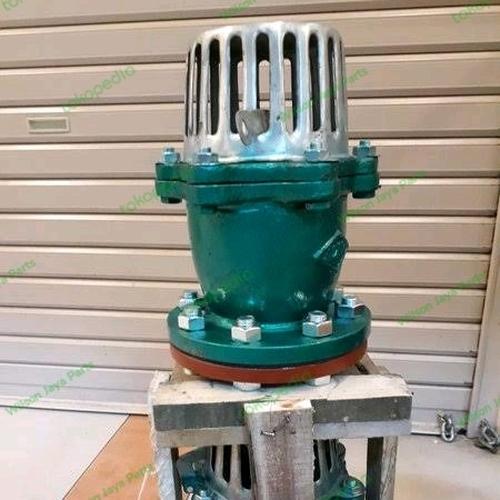 Jual foot valve MIZU 2,5 inch JIS 10K model flange grade A - Jakarta ...